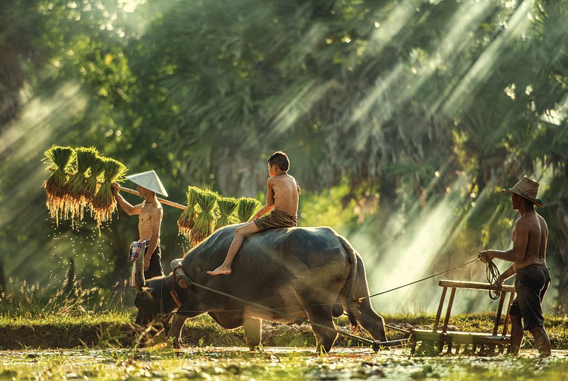 Just Back From: Vietnam